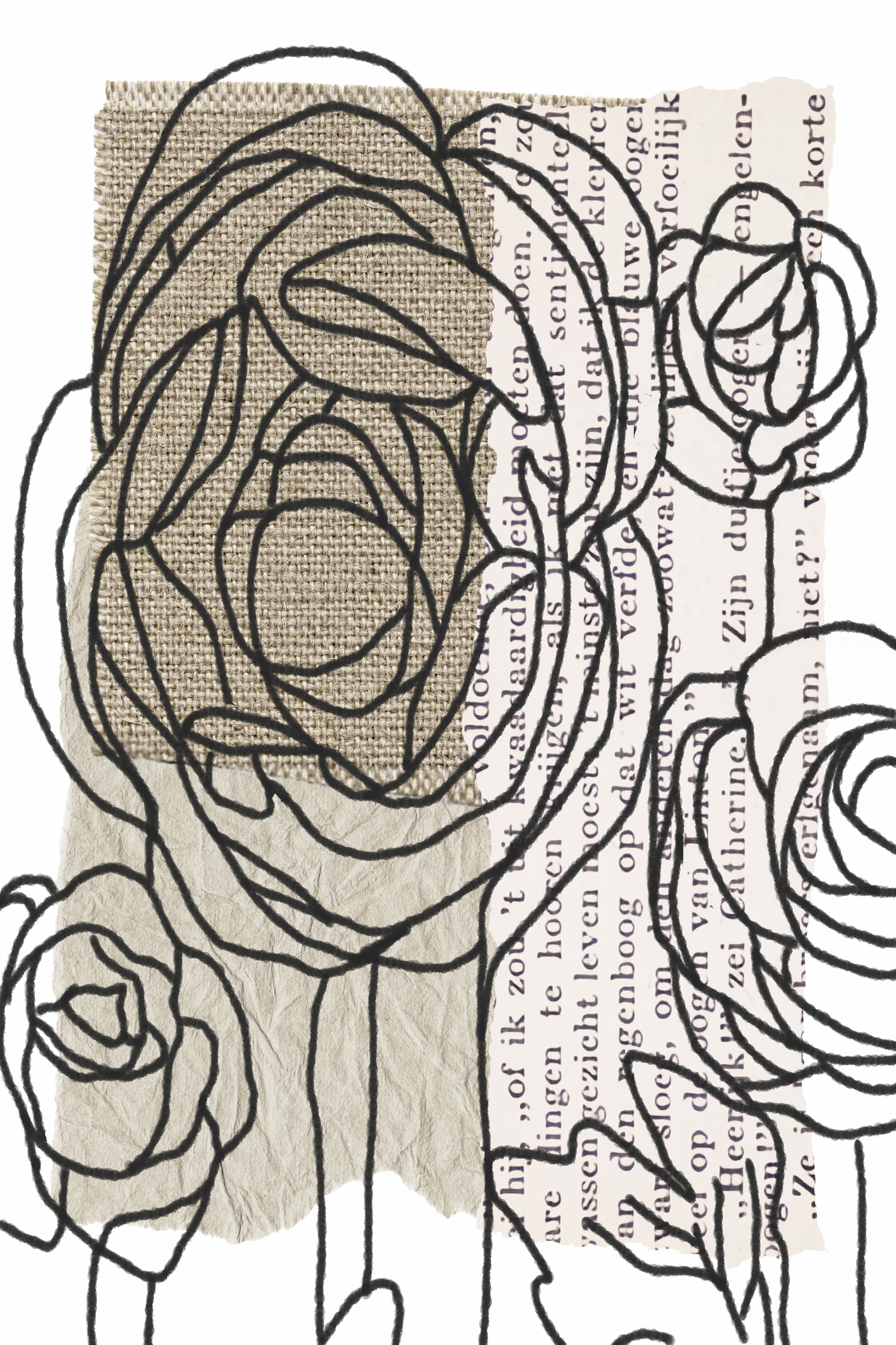 Wrought Studio™ Eunan Drawn Flowers I On Canvas by Alonzo Saunders ...