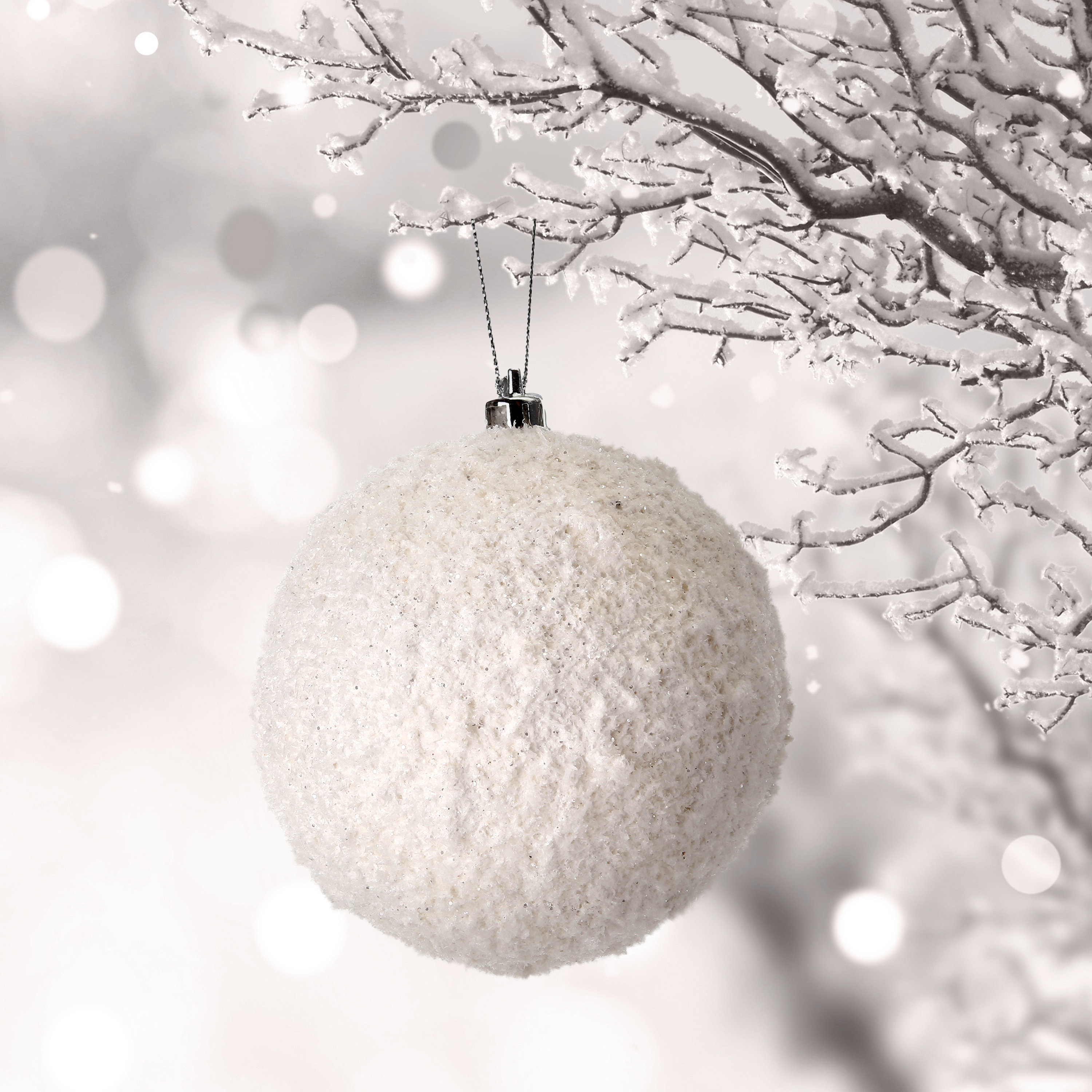Regency International 4" Frosted Texture Snowball Ornament Set of 6 ...