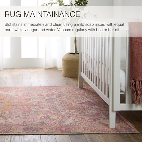 Birch Lane™ Framboise Power Loomed Performance Pink/Purple Rug | Wayfair