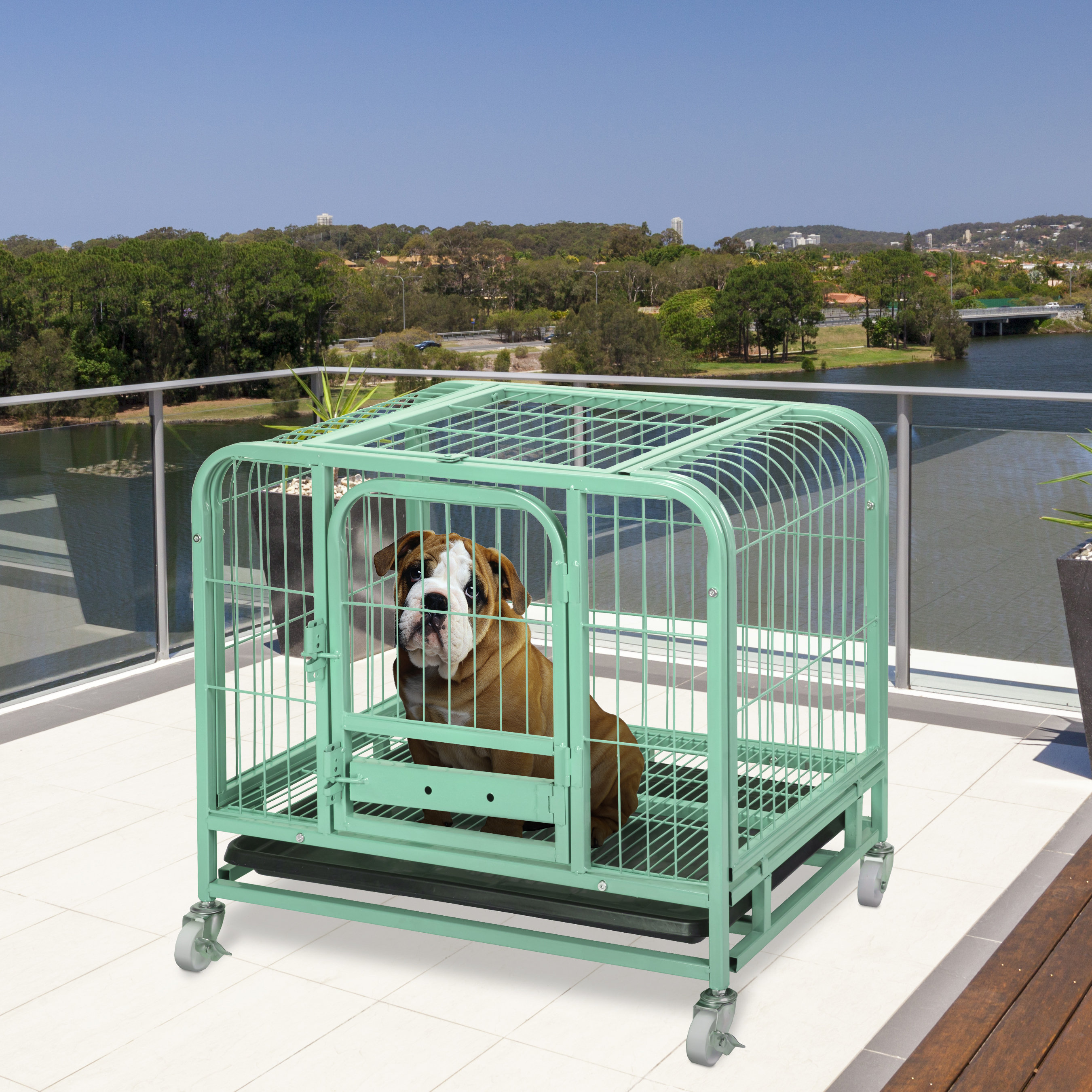 Tucker Murphy Pet™ Cage pour chien 30 po en métal robuste vert foncé ...