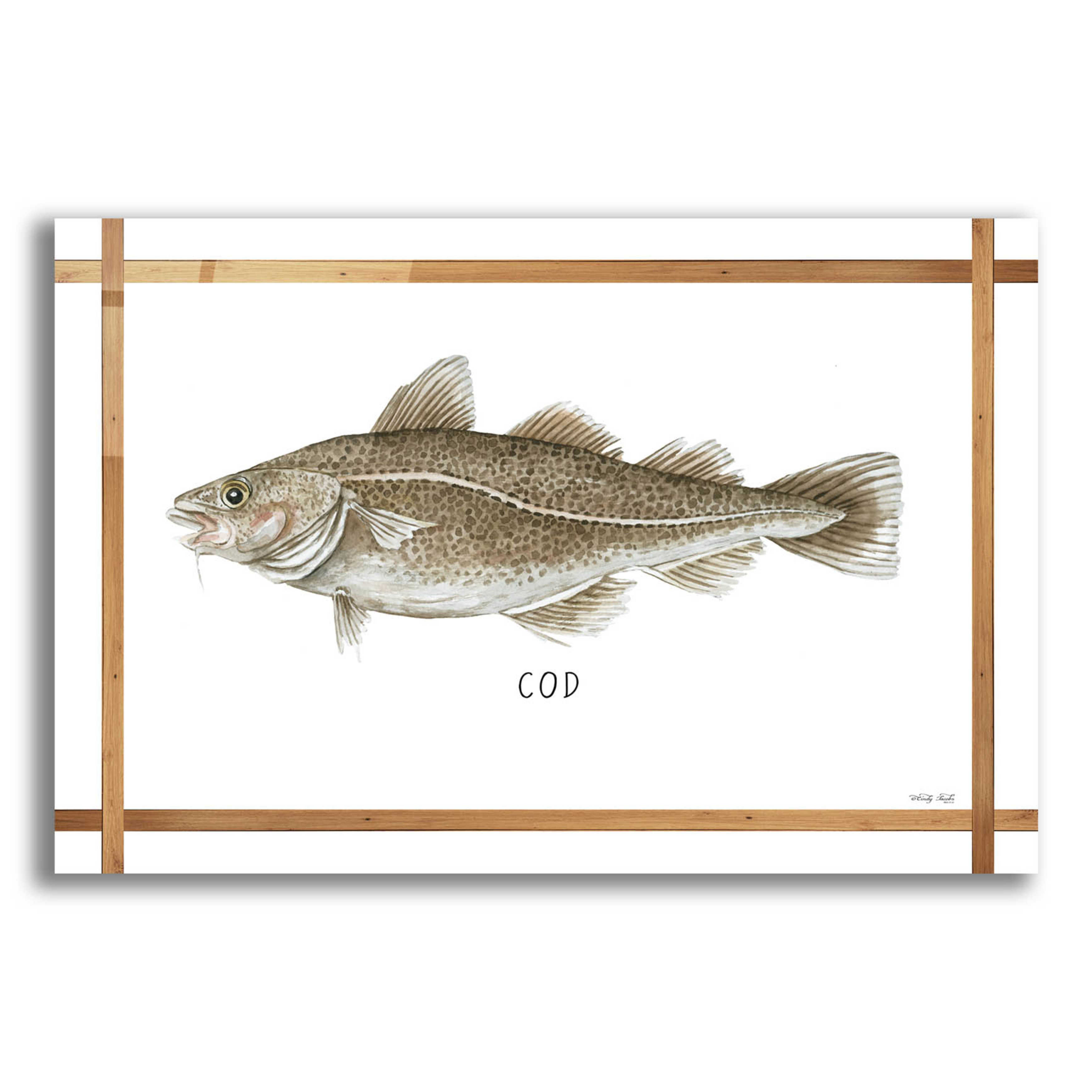 Highland Dunes Cod on White by Cindy Jacobs - Unframed Graphic Art ...