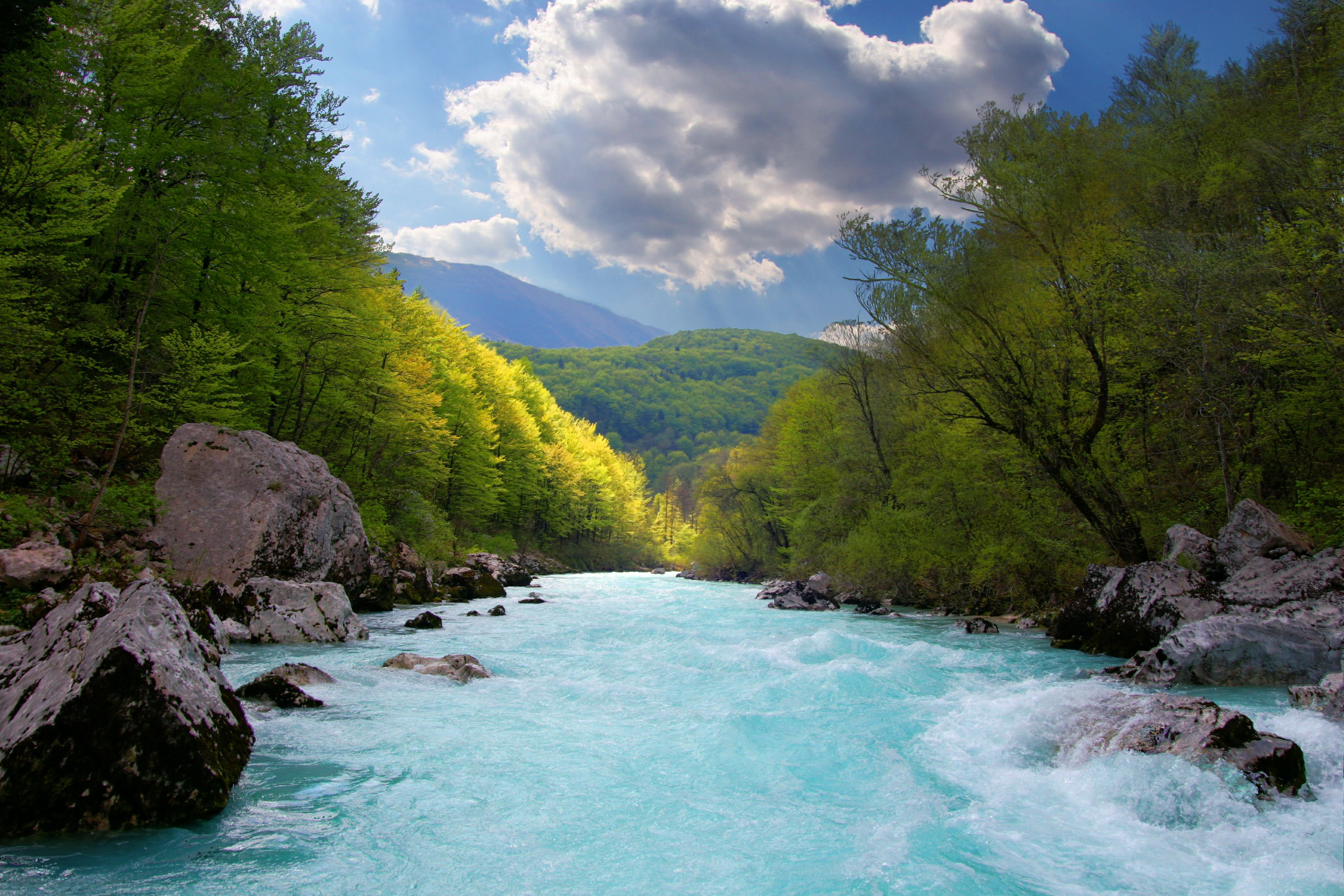 Millwood Pines River from a Fairy-Tale - Wrapped Canvas Photograph ...
