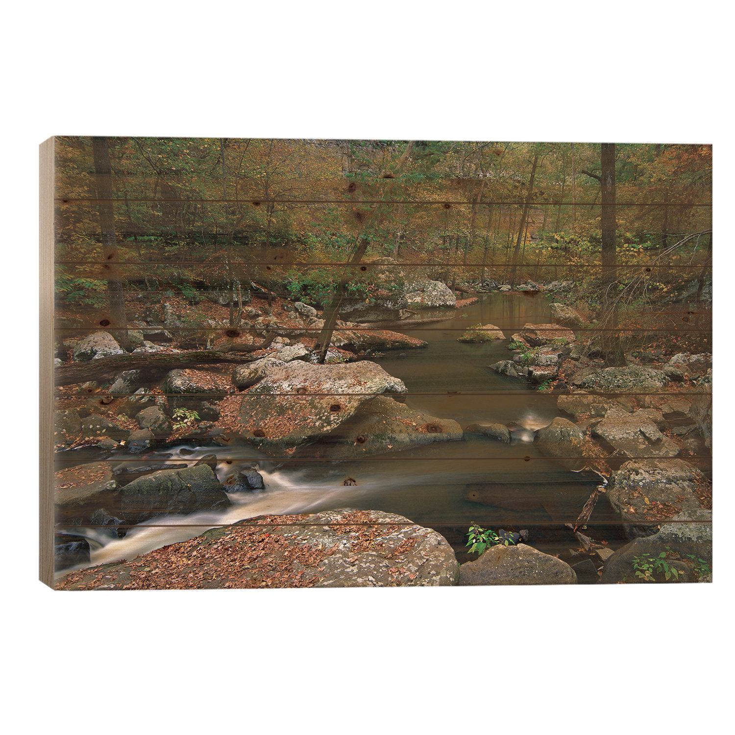 Millwood Pines Cedar Creek Flowing Through Deciduous Forest, Petit Jean ...