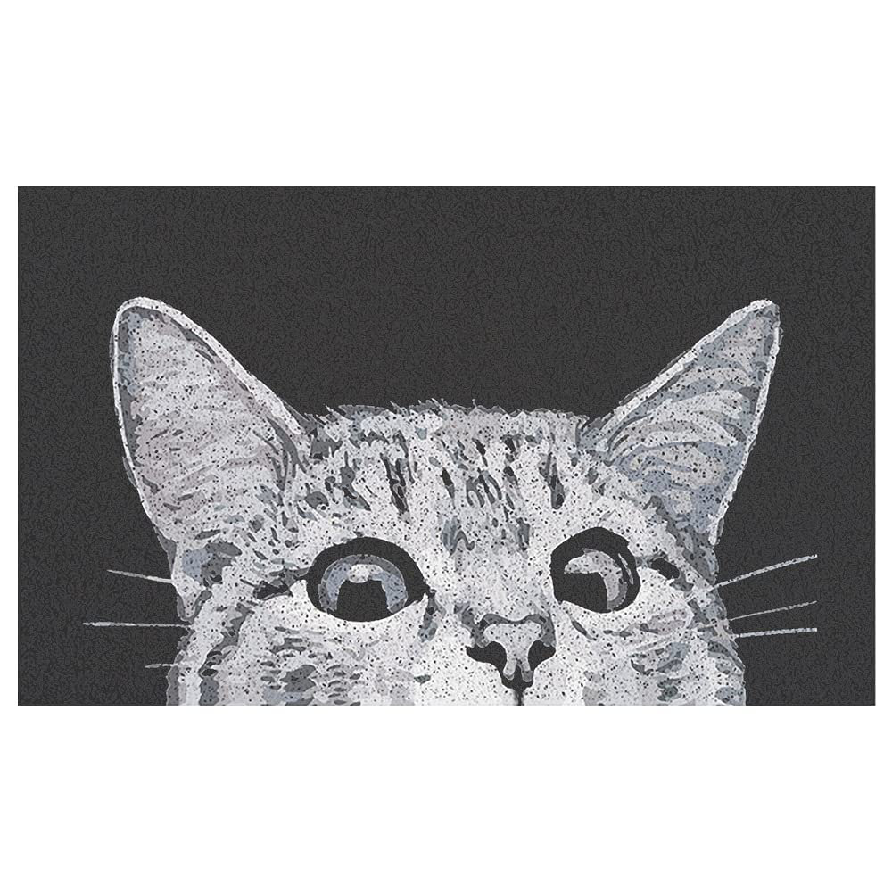 Red Barrel Studio® Cat Door Mat Outdoor Entrance, Durable Welcome Mat ...