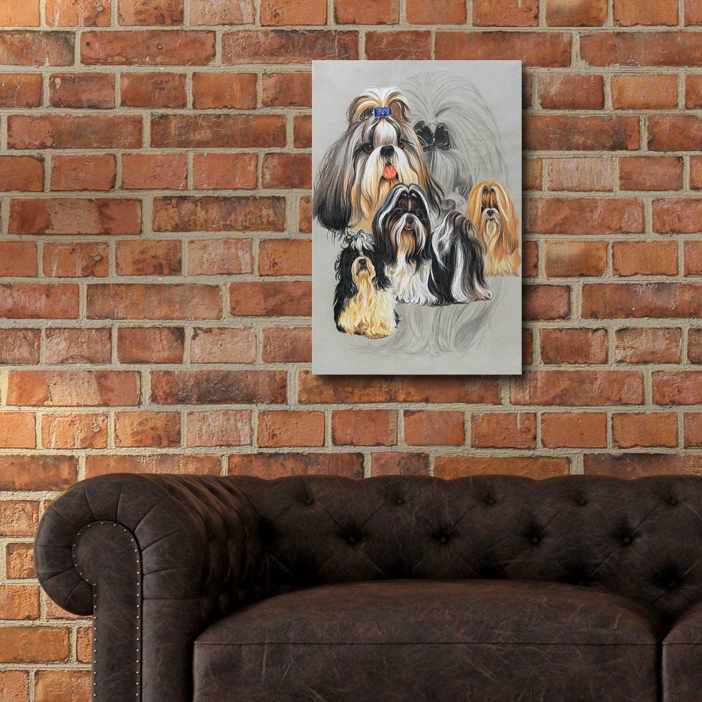 Millwood Pines Shih Tzu by Barbara Keith - Unframed Graphic Art | Wayfair