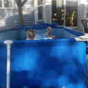 Intex New Intex Rectangular Frame Above Ground Swimming Pool & Reviews ...