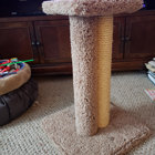 New Cat Condos 24'' H Cat Tree & Reviews | Wayfair