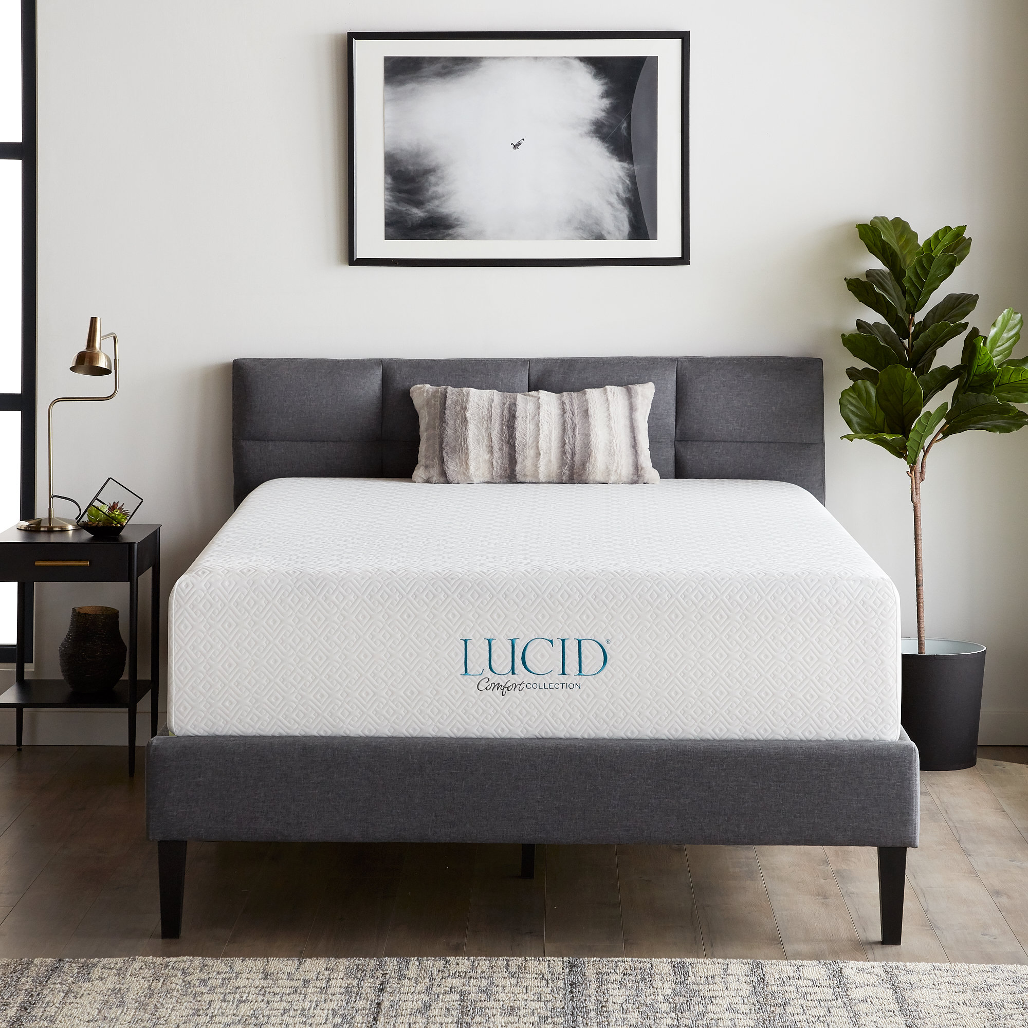 Lucid Comfort Collection 14" Medium Charcoal Infused Mattress & Reviews ...