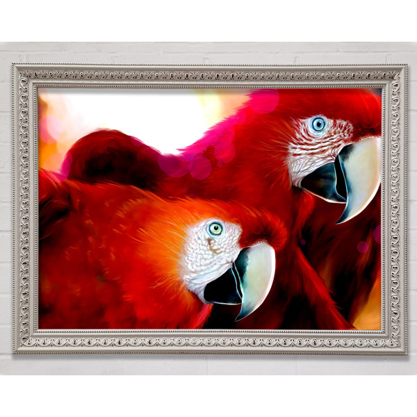 Bright Star Parrots - Single Picture Frame Print | Wayfair.co.uk