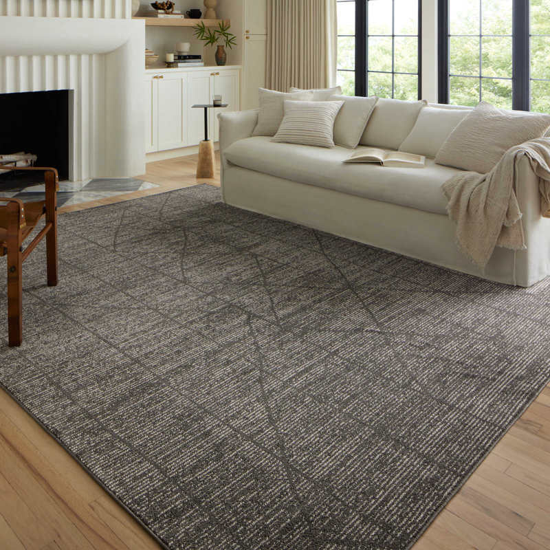 Trent Austin Design® Peterkin Performance Charcoal/Ivory Rug & Reviews ...