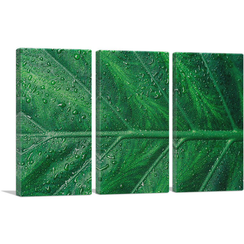 ARTCANVAS Grass Dew Plant Home Decor Canvas Art Print - Wayfair Canada