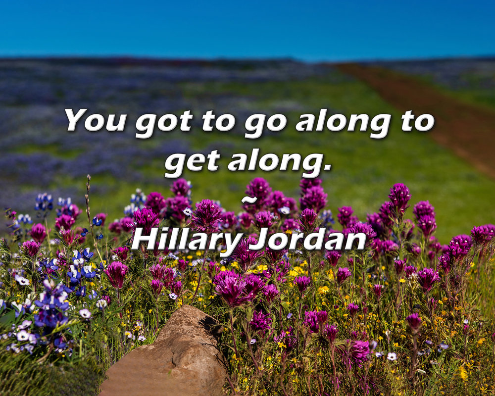 Trinx Hillary Jordan Quote: You got to go along to get along. | Wayfair
