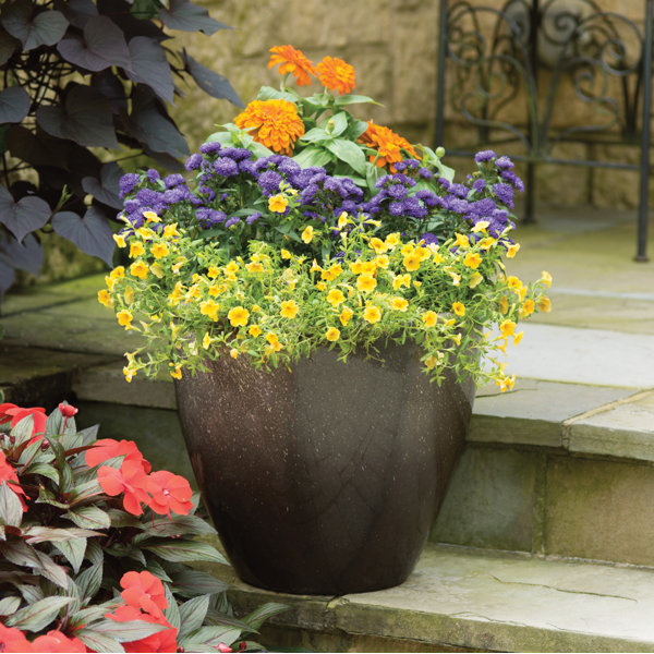Suncast Pot Planter & Reviews - Wayfair Canada