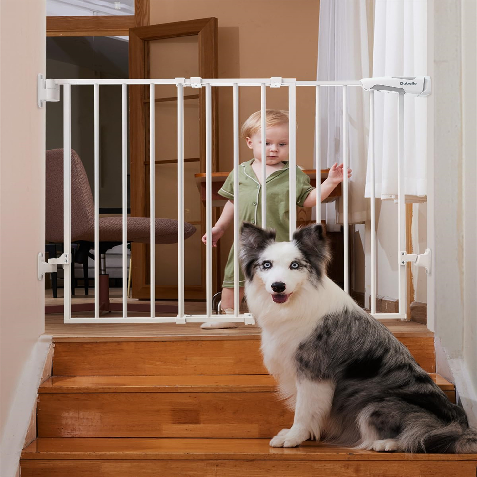 Tucker Murphy Pet™ 26-43’ Universal Safety Gate without Bottom Bar for ...