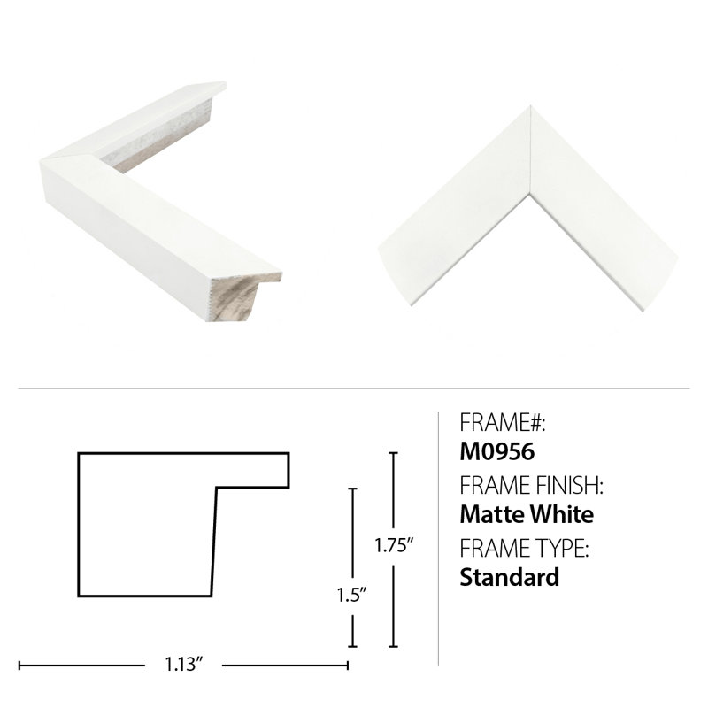 Lillian August Exquisite Papers 1' Framed Print on Glass | Perigold