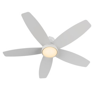 White & Cream Ceiling Fans With Lights You'll Love | Wayfair