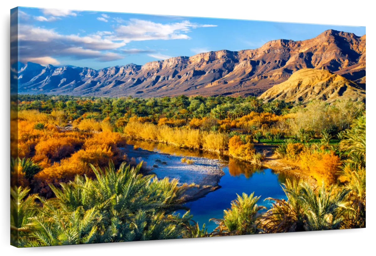 Millwood Pines Alvord Moroccan Mountain Oasis | Wayfair