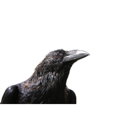 Alpen Home Castle Rook Ny - Wrapped Canvas Art Prints | Wayfair.co.uk