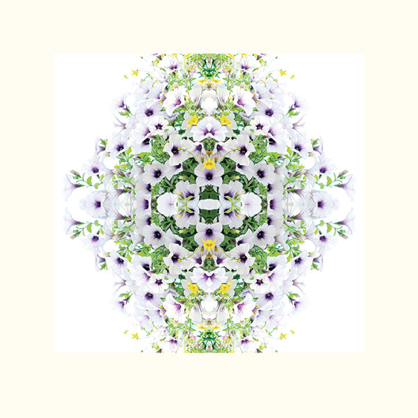 East Urban Home Alyson Fennell - Print | Wayfair.co.uk