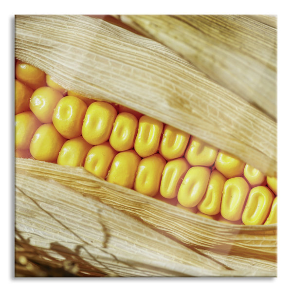 Brayden Studio Corn Cob Close-up - Unframed Graphic Art on Glass ...