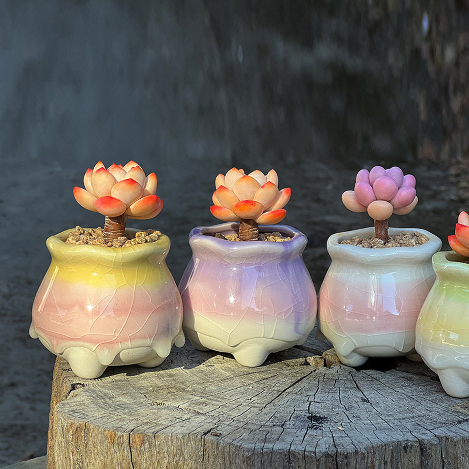 Winston Porter Pots For Plants With Drainage Holes - Wayfair Canada