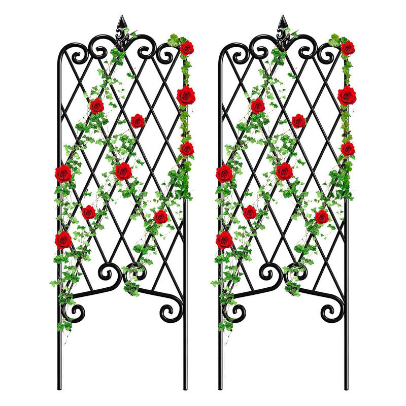 Alcott Hill GARDEN & HOME 2 Pack Garden Trellis for Climbing Plants ...