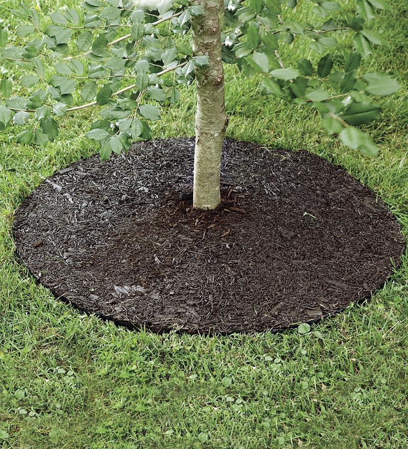 Plow & Hearth Permanent Mulch Tree Ring Landscape Edging & Reviews ...