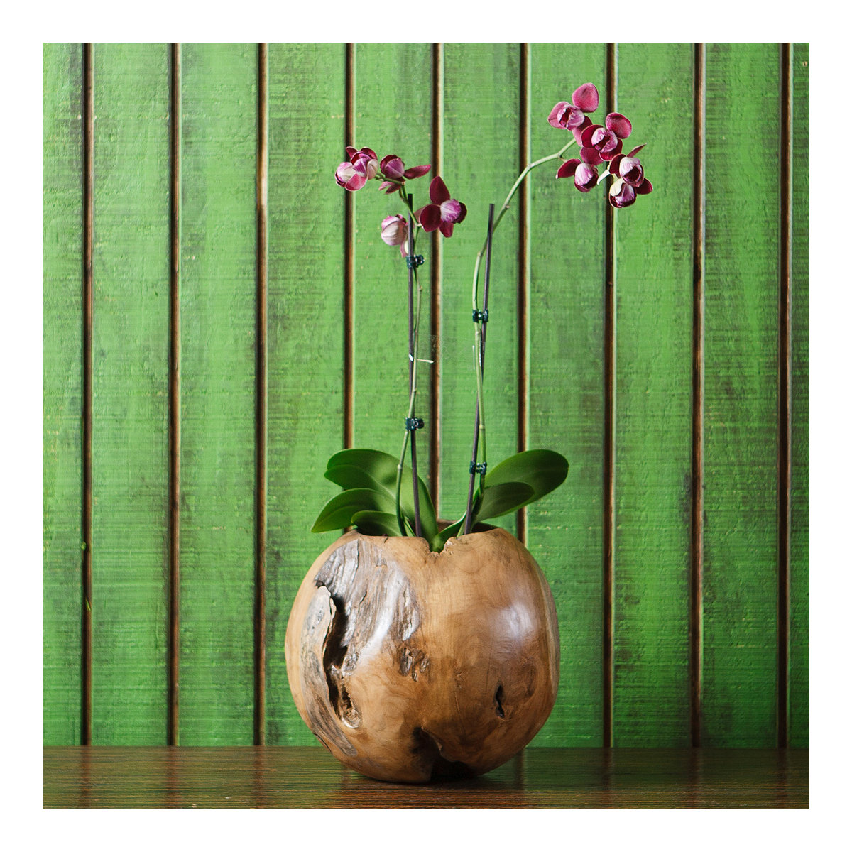 Garden Age Habini Teak Bowl & Reviews | Wayfair
