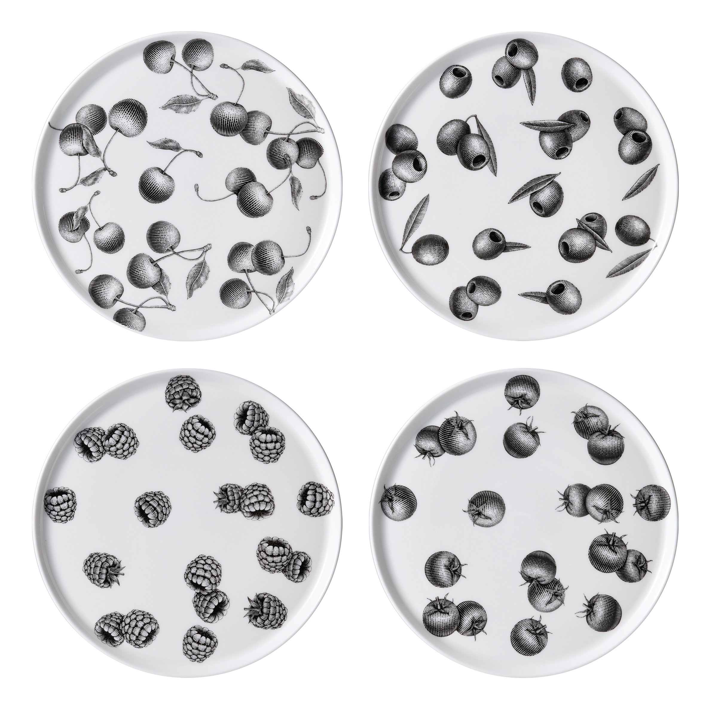 Twig New York Olive Market 8.5" Bone China Appetizer Plate | Wayfair