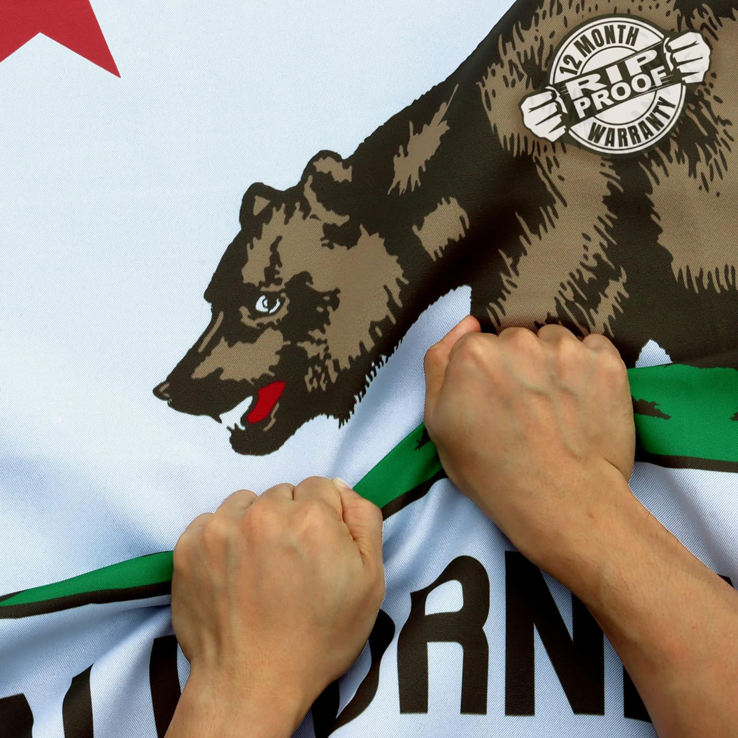 Anley Rip-Proof Double Sided 3-Ply California State Flag 3x5 Foot - The ...