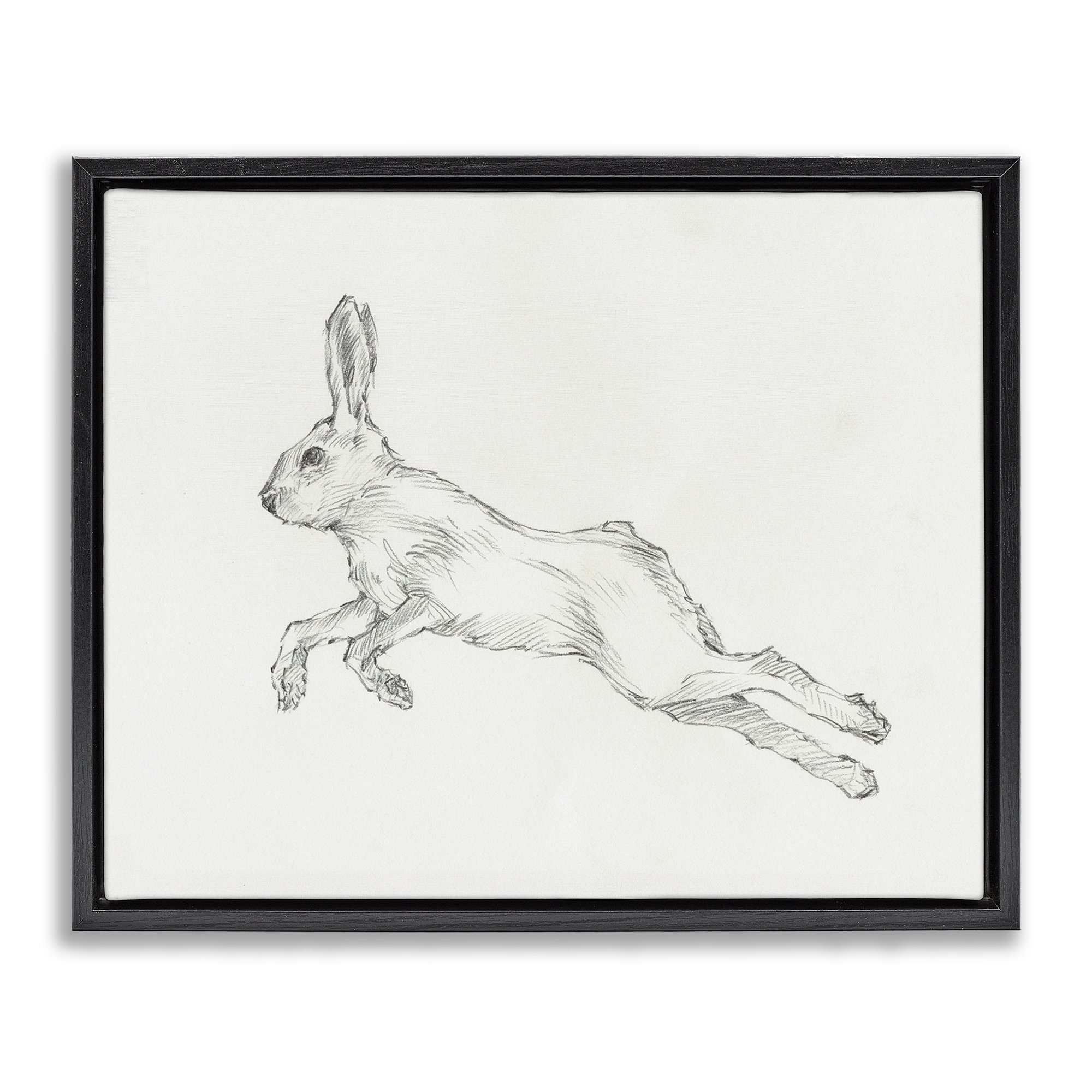 August Grove Rabbit Hopping Sketch Canvas Wall Art by Ethan Harper ...