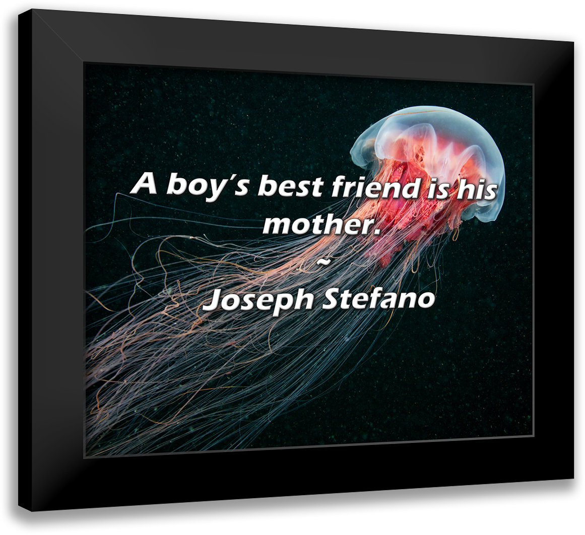 Ivy Bronx Joseph Stefano Quote: A boy’s best friend is his mother ...