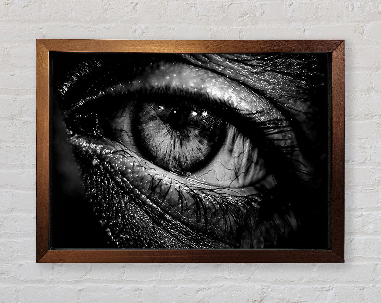 Bright Star The Eye Of Knowledge - Single Picture Frame Art Prints ...