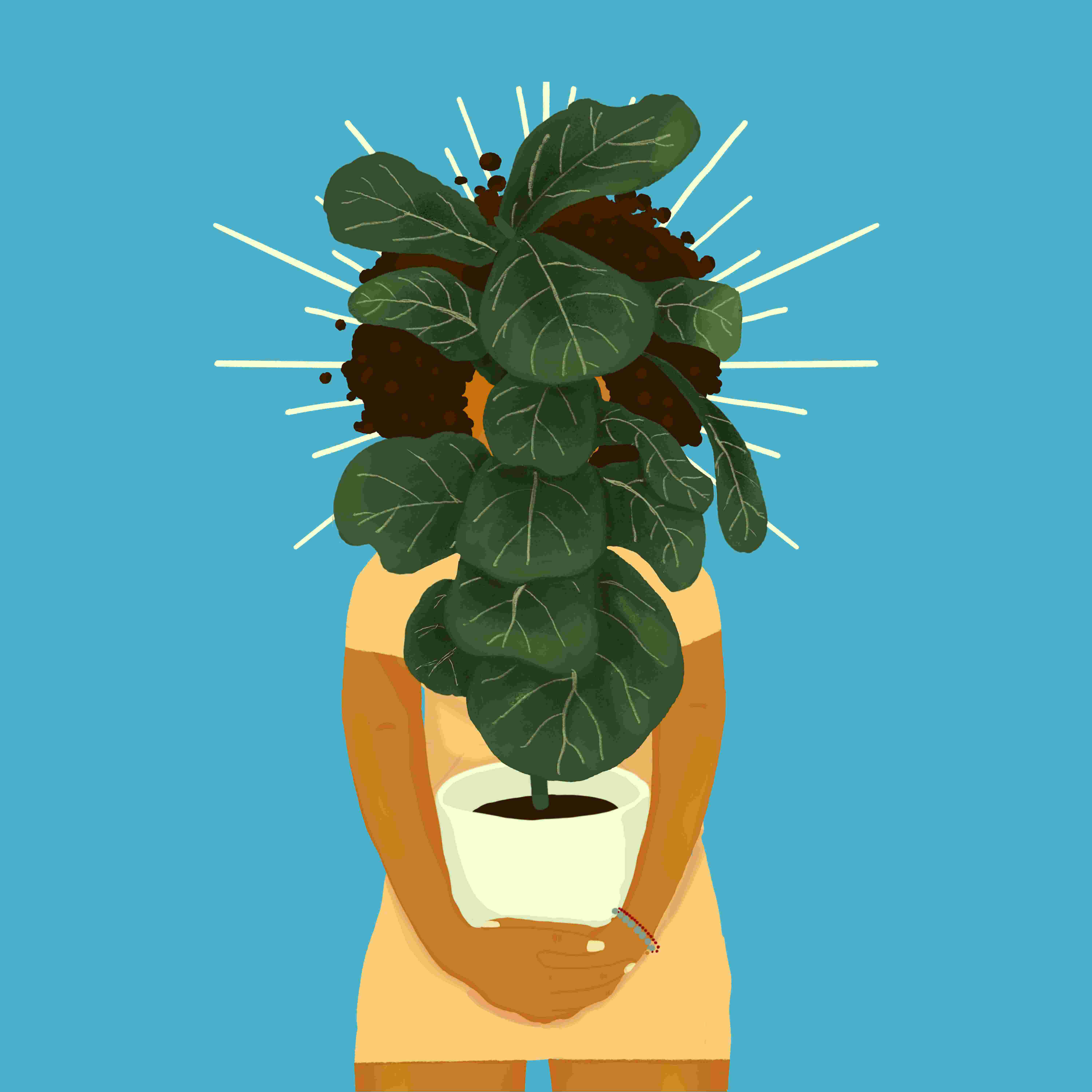 Winston Porter Plant Momma - Wayfair Canada