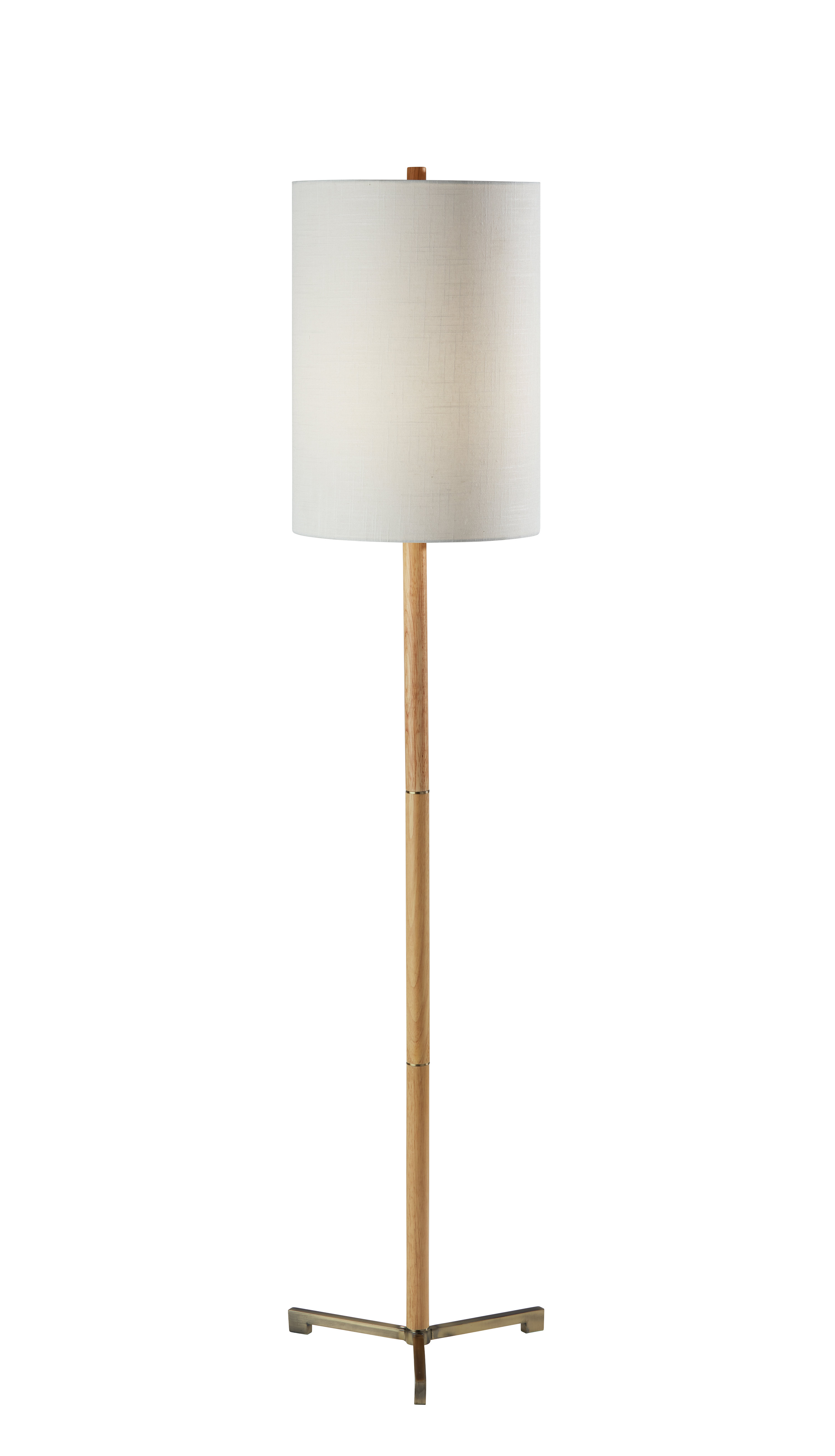 Birch Lane™ Cian 62.5" Floor Lamp & Reviews - Wayfair Canada