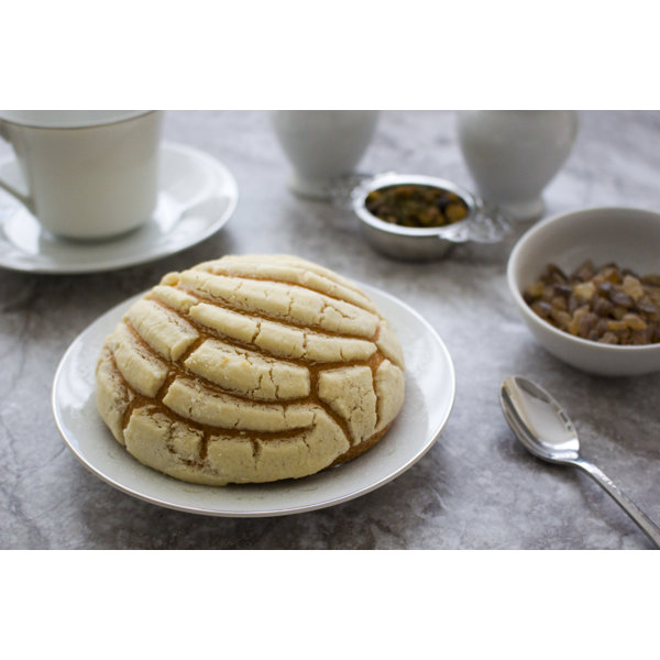 17 Stories Conchas - Wrapped Canvas Photograph | Wayfair.co.uk