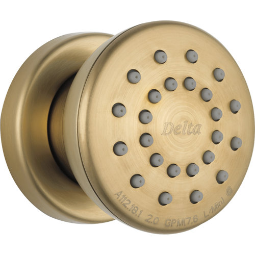 Delta Full Adjustable Body Spray with TouchClean & Reviews | Wayfair