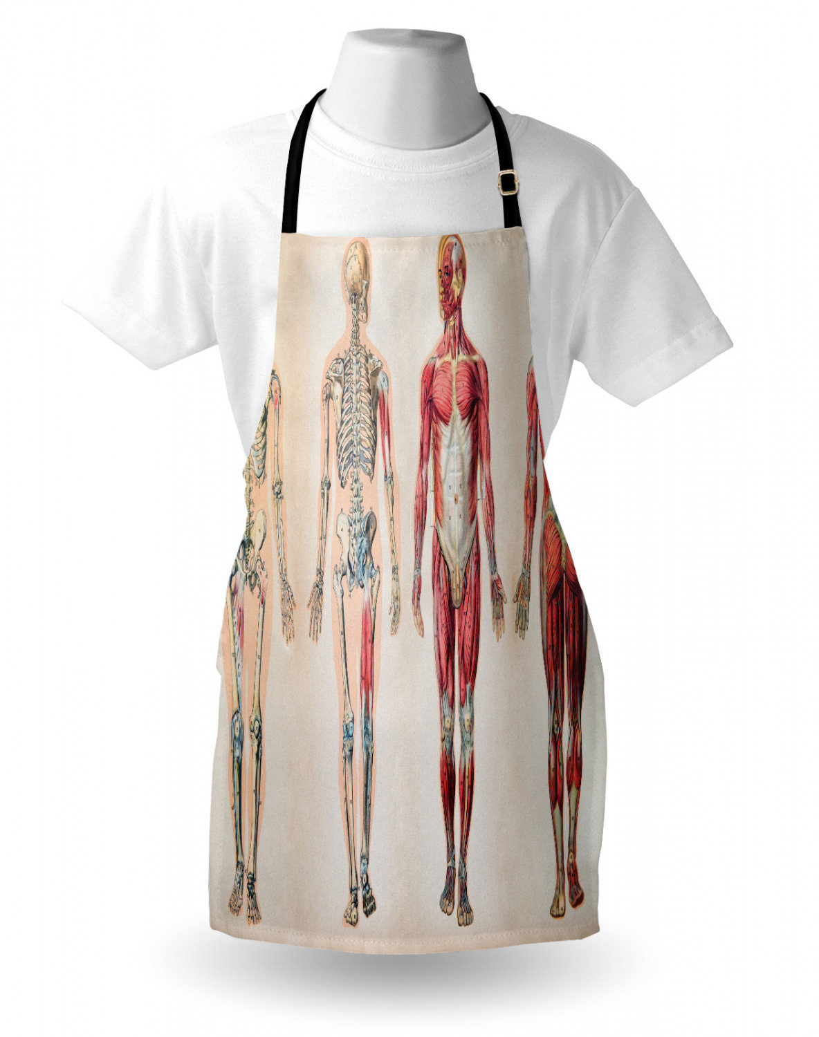 East Urban Home Human Anatomy Apron | Wayfair