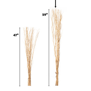 Primrue 47'' Birch Branch | Wayfair