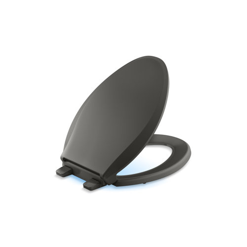 Black Toilet Seats You'll Love | Wayfair