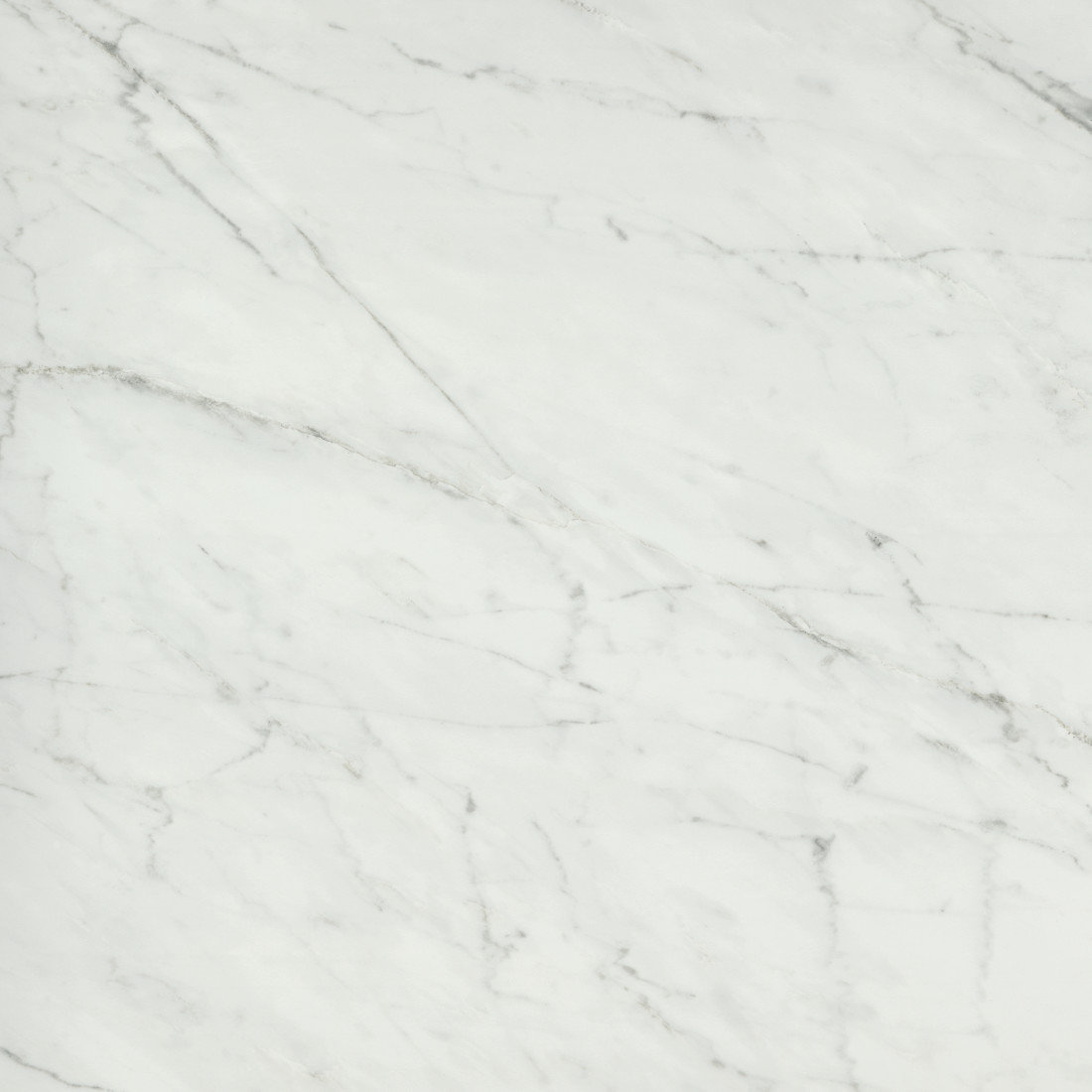 Emser Tile Vara Groven 24 in. x 24 in. Polished Porcelain (15.5 sq. ft ...