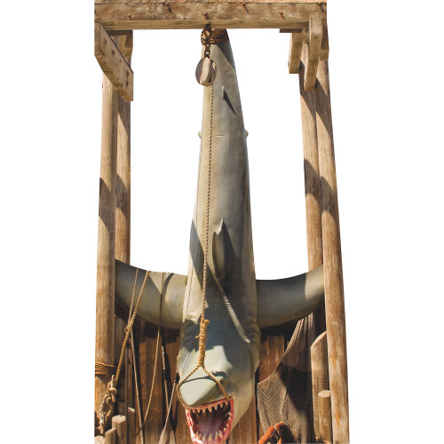 Wet Paint Printing SP13125 Caught Hanging Shark Open Jaw Trophy Fishing ...