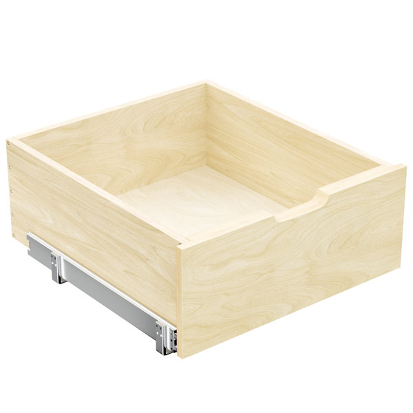 Rebrilliant Pull Out Cabinet Organizer With Full Extension Rail Slides ...