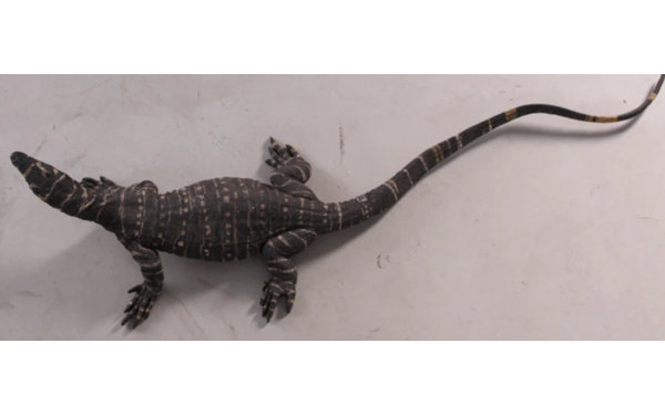 Dakota Fields Cliffard Lace Monitor Life Size Statue | Wayfair