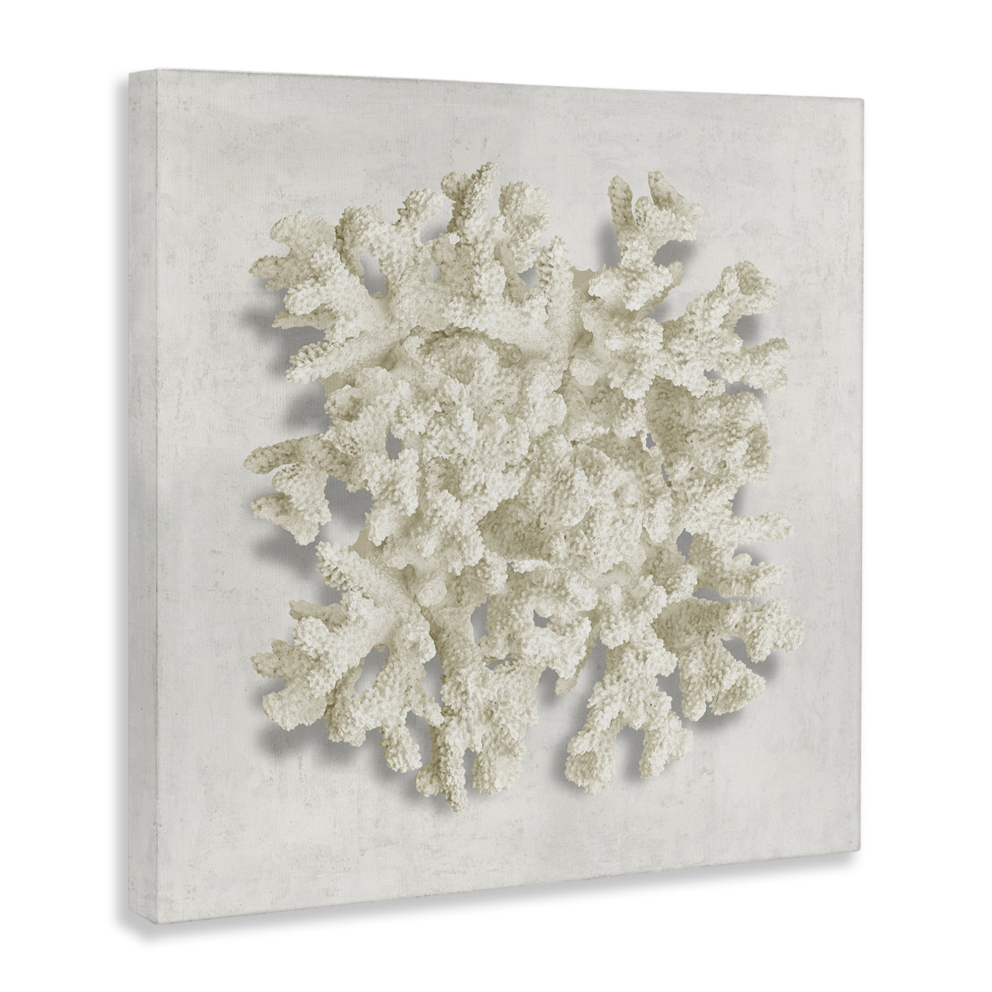 Highland Dunes Aquatic Neutral Coral Canvas, design by Caroline Kelly ...
