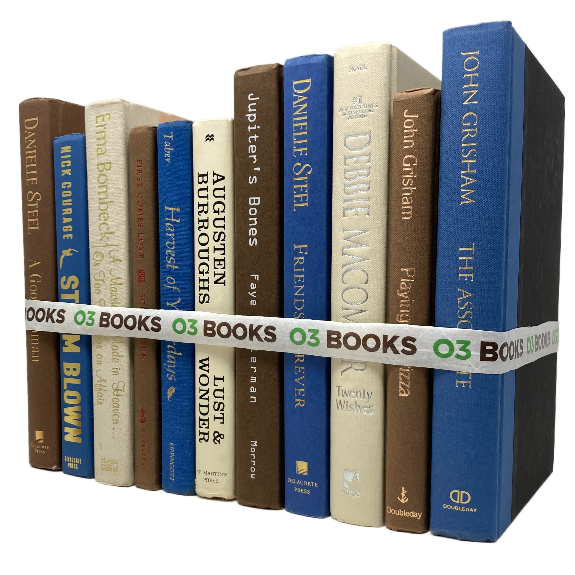 Red Barrel Studio® Sandy Shores Decorative Books Lightbrown, Blue and ...