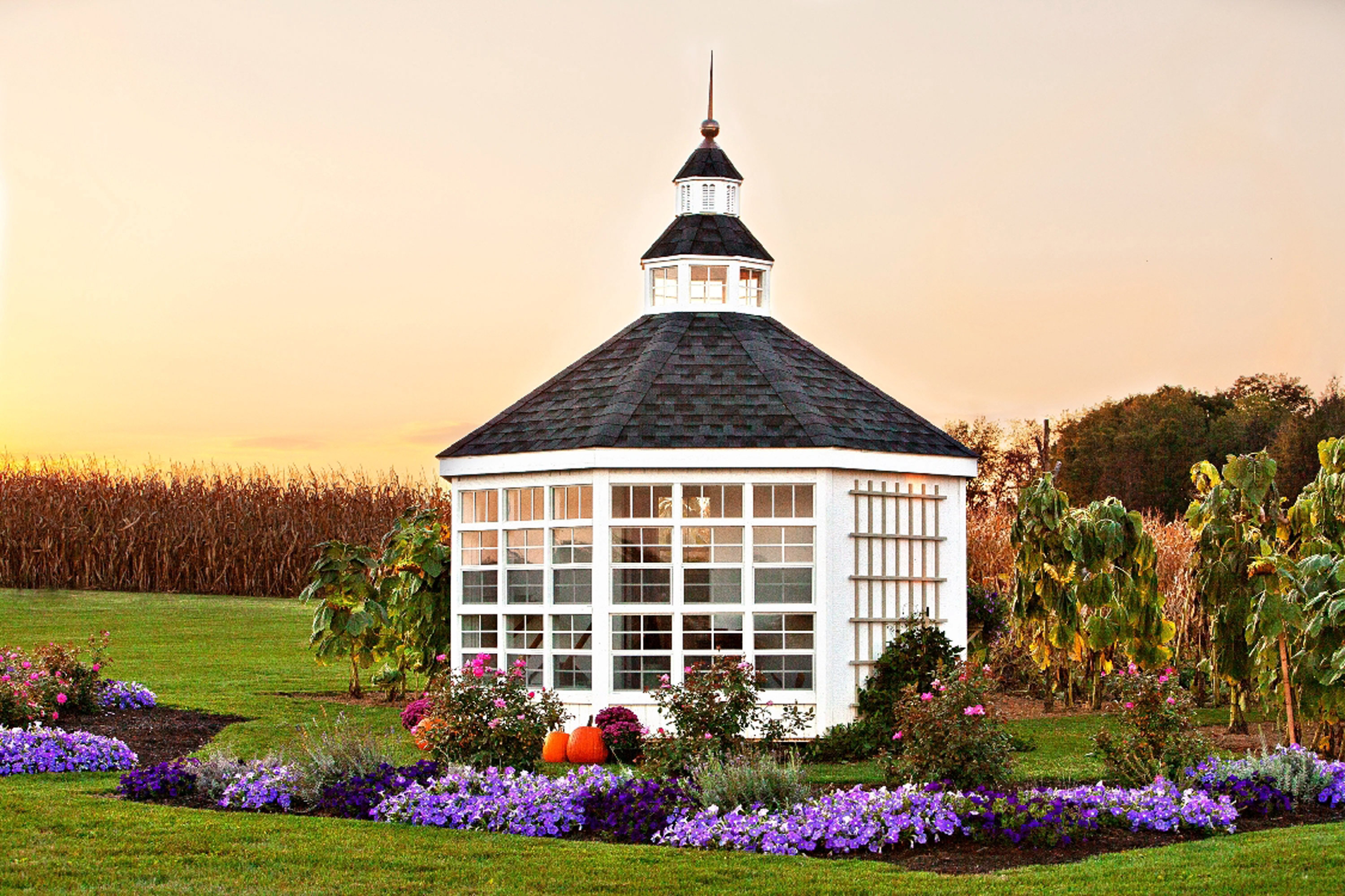 Little Cottage Co. 12' W x 12' D Colonial Garden Shed Greenhouse | Wayfair
