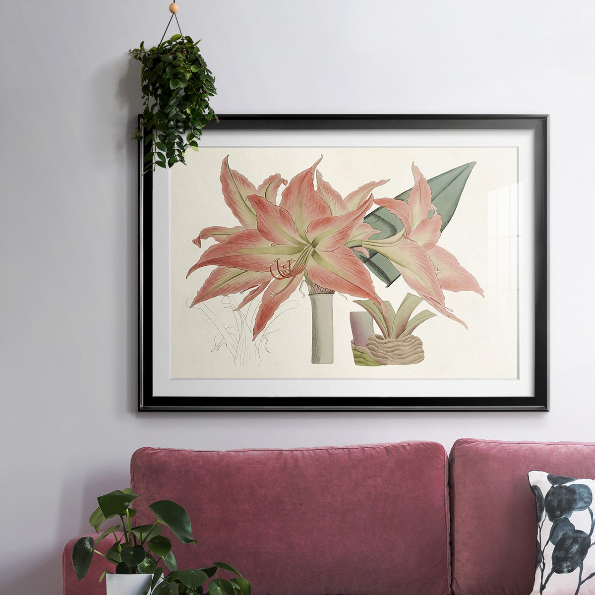 Winston Porter Amaryllis Varietals III | Wayfair