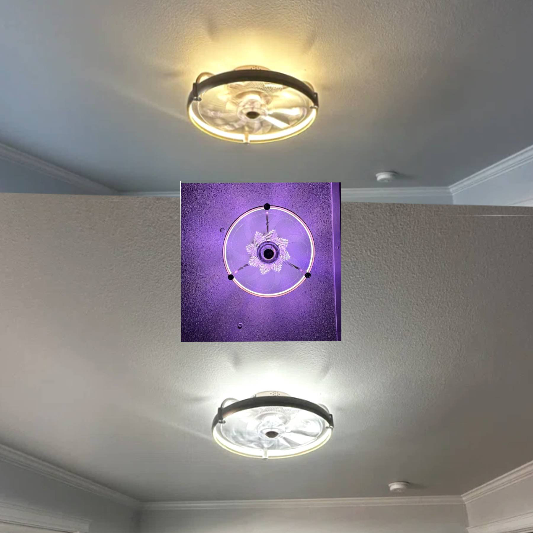 Mercer41 17.71'' 3 - Light Globe Ceiling Fan Light Kit | Wayfair