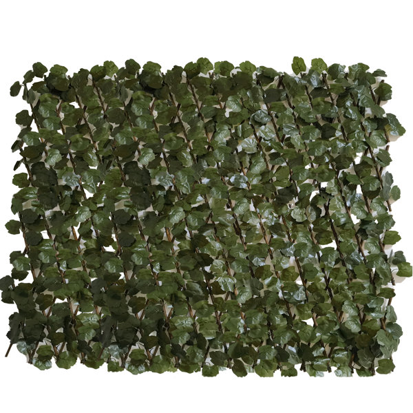UIXE Pacifa 50'' H x 32'' W Single Side Expandable Faux Hedge ...